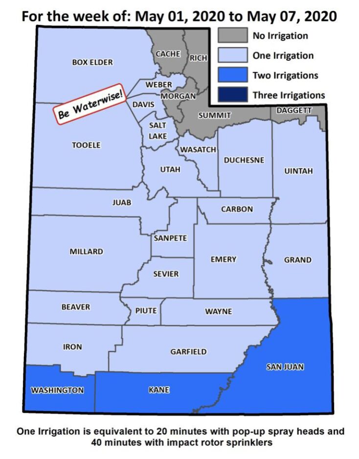 Lawns now need watering, but less than you’d think | News, Sports, Jobs ...